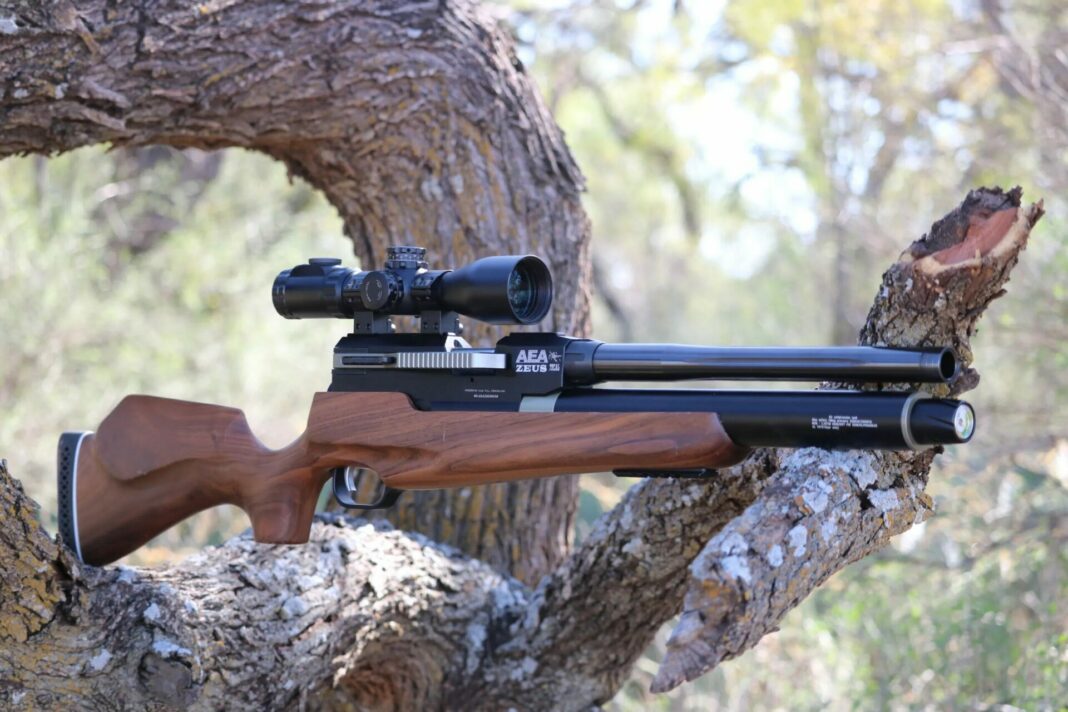 Best Air Rifles – The Most Exciting Guns to Have (Reviews and Buying ...