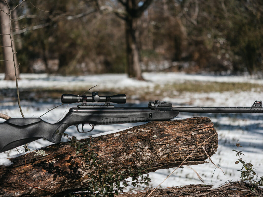Gas vs Spring Piston: Which One is Better? | Best Air Rifle Reviews ...