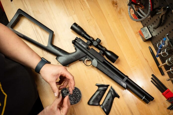 Best Air Rifles for Pest Control – Top 10 effective guns for the money ...