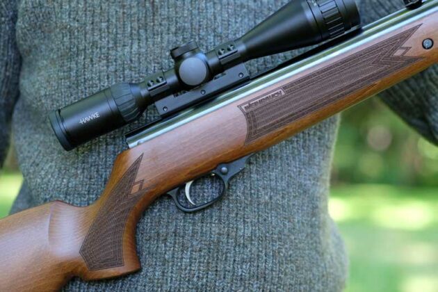 Best Break Barrel Air Rifle That Hits Like A Champ 2025 (Reviews and ...