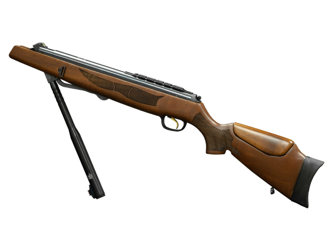 Best Break Barrel Air Rifle That Hits Like A Champ 2025 (Reviews and ...